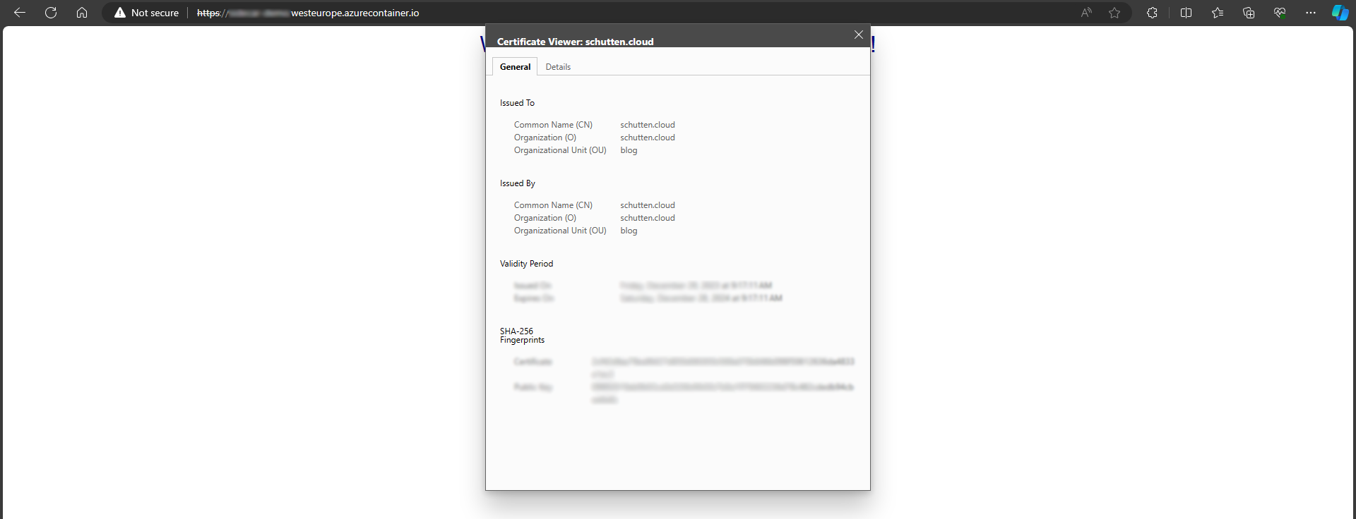 Enabling A Tls Endpoint With A Nginx Sidecar Container